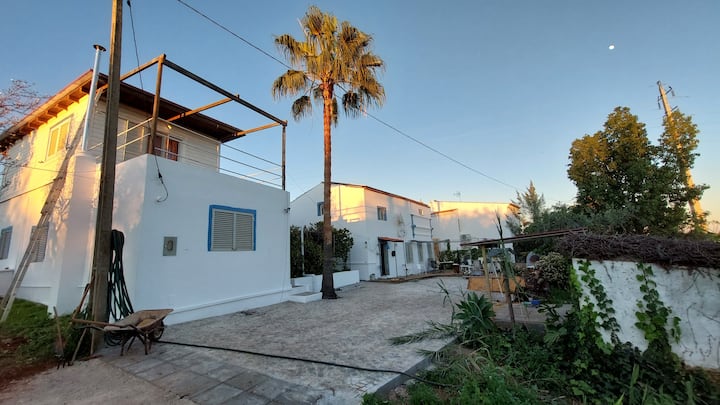 Studio Fidel, 66 M², Balkon, Terrasse - Faro