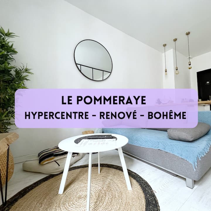 Le Pommeraye - Nantes