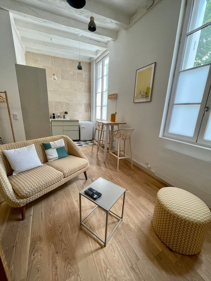 Le Grand Studio Du Vieux Tours - Tours