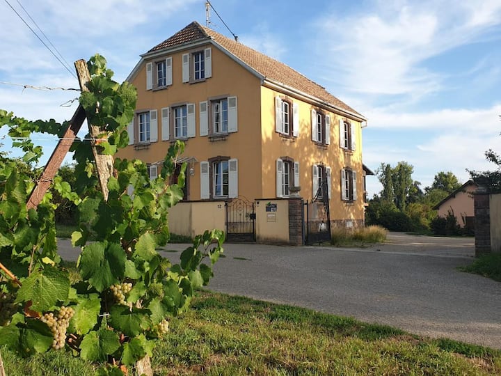 Propriété Avec Parc - Petit-déjeuner Sur Demande - Eguisheim