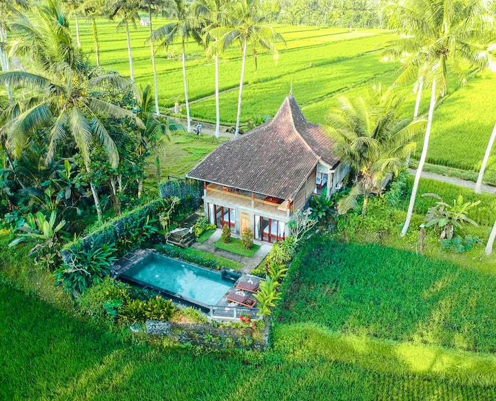 Villa Bo-sofie: New Ubud Villa With Private Pool - Australia