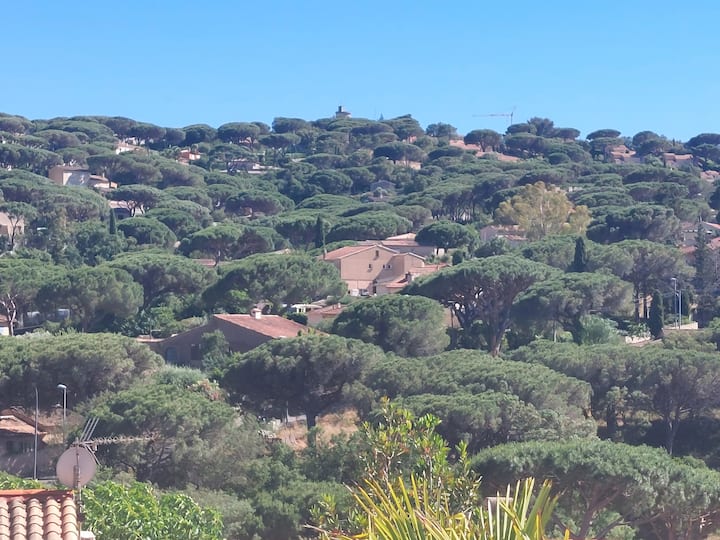 Studio à Sainte-maxime - Sainte-Maxime