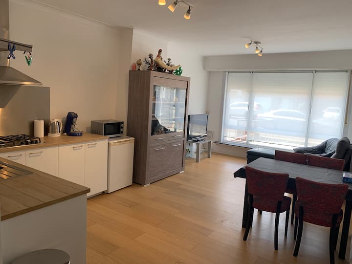 Simpel Centraal Gelegen Appartement Met Tuin - Schoten