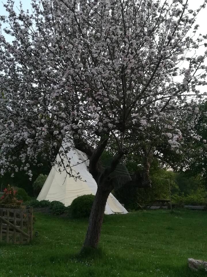 Le Tipi Commanche - Brionne