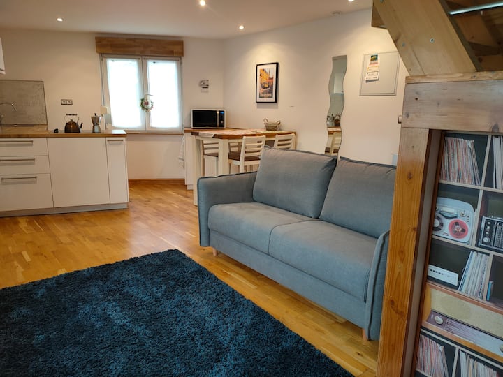 Beau Petit Loft/duplex Neuf Proche Centre. Parking - Lille