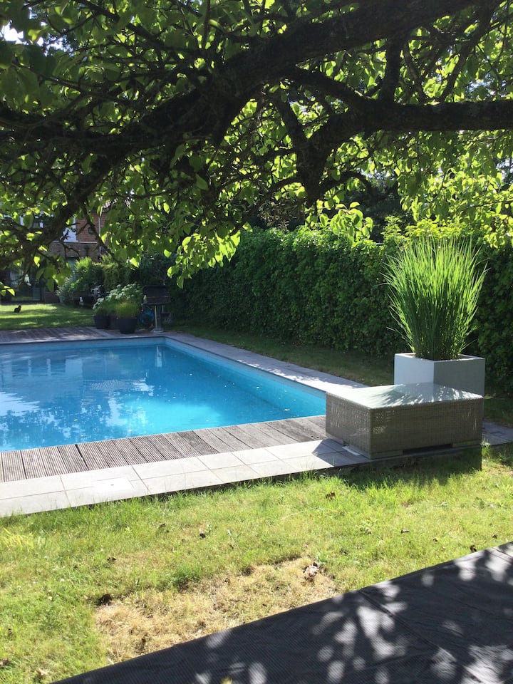 Glamping Nabij Antwerpen - Boom