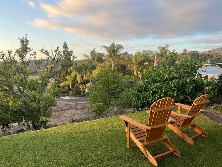 Amazing Vista View Home On A Private Large Lot. - San Marcos, CA