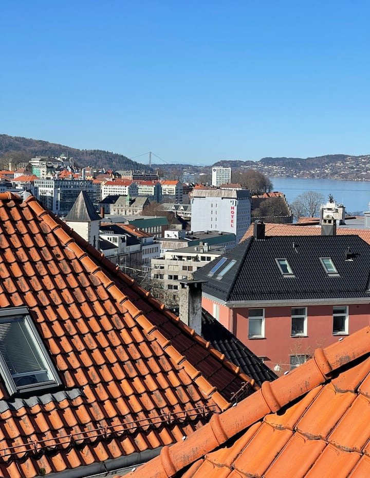 Koselig Bergenshus Med Takterrasse - Bergen, Norway