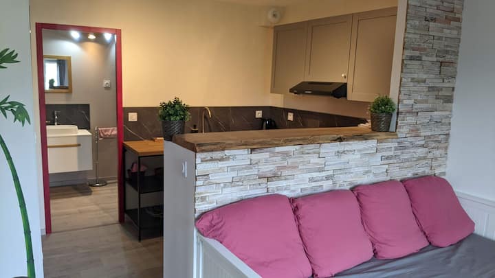Chambre, Espace Cuisine, Sdb Wc, Parking Proche Cv - Avignon