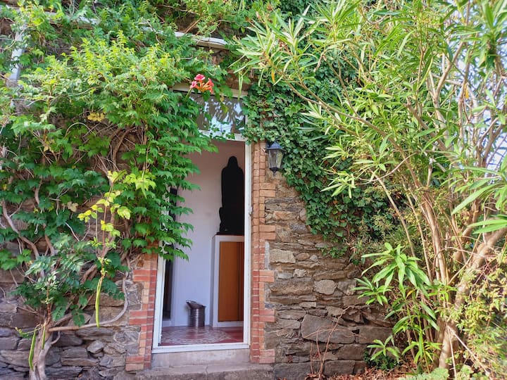 Maison De Village De Charme - La Garde-Freinet
