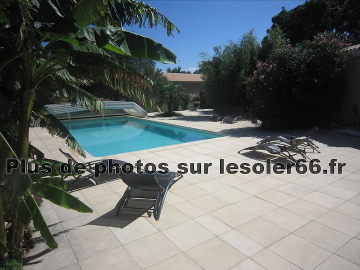 Lauriers Roses: Grande Piscine Commune Aux 4 Gites - Thuir