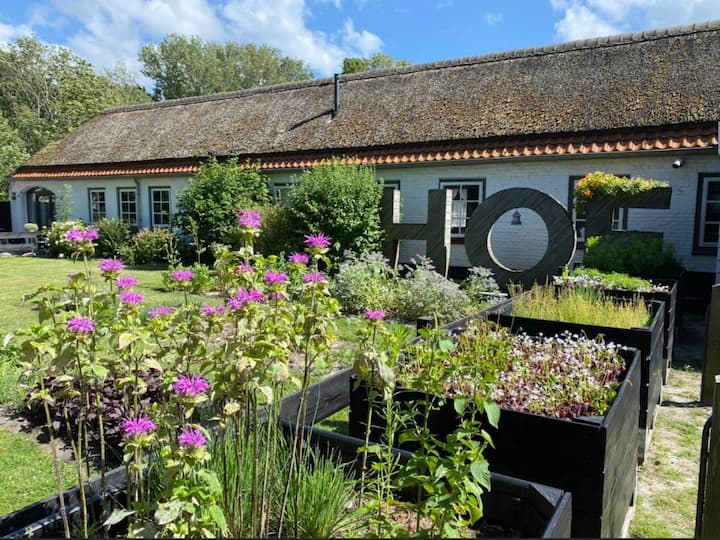 Logeren Onderaan De Duinovergang In Dishoek - Domburg