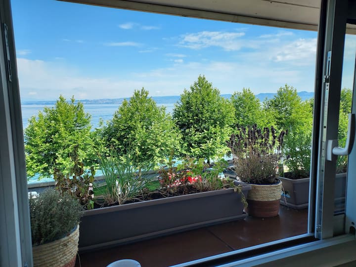 El Castillo Superbe Logement Face Au Lac à Evian - Évian-les-Bains