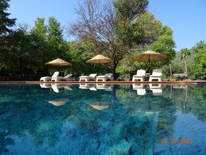 "Amber Evi" / Gaia Koru Bungalows (Adults Only) - Ekincik Koyu