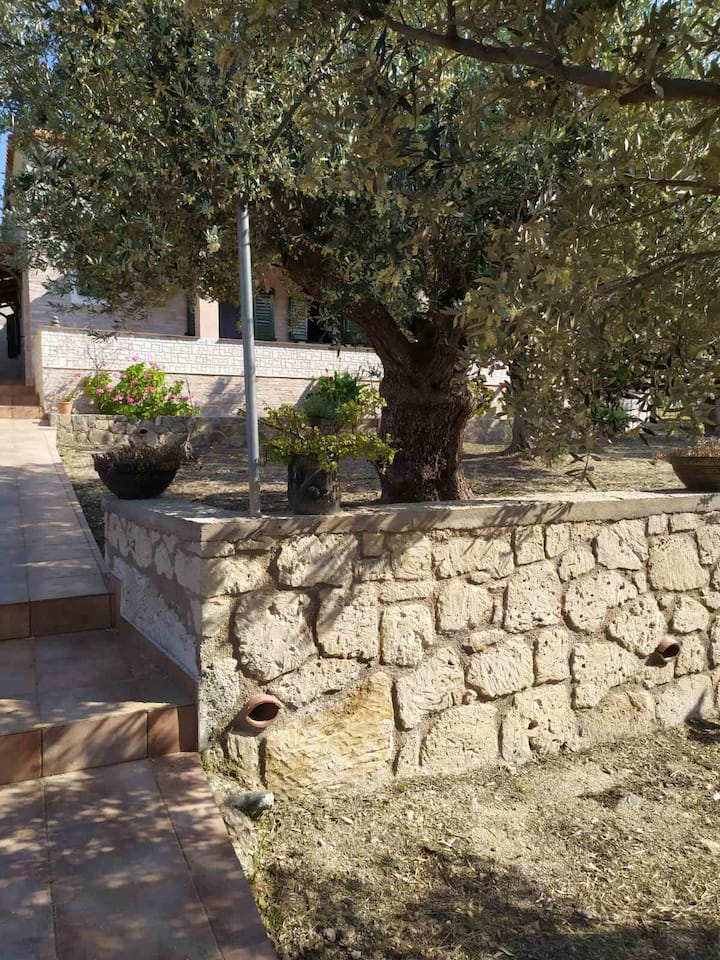 Ninemia House: Ώρα για χαλάρωση - Эгина