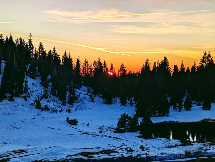 Cozy Pinecrest-dodge Ridge Area -  King Bed! - Strawberry, CA