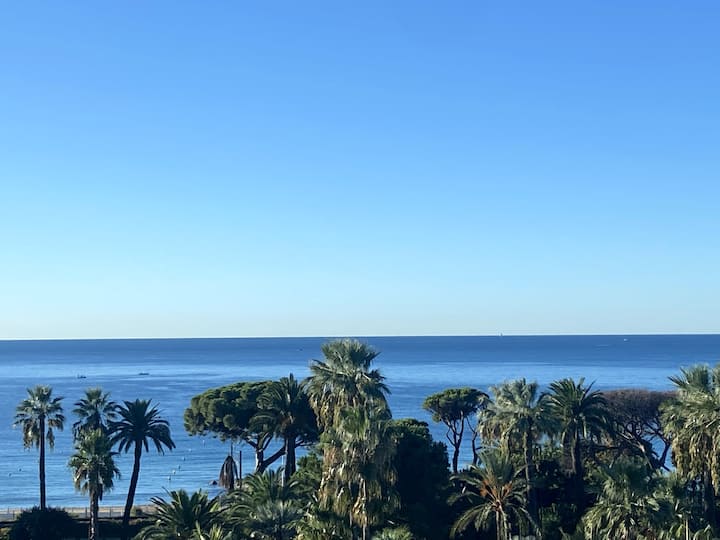 Magnifique Vue Panoramique En Baie De Cannes - Cannes