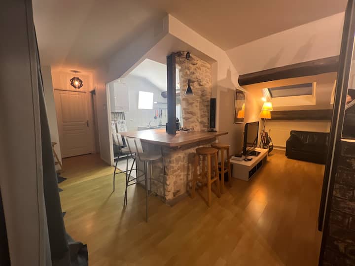 Le Central Victoria 6 /70m2/1-7p/stanislas Dist - Nancy