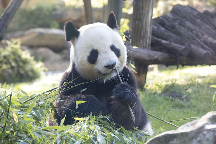 Maison De Campagne Privative Avec Véritable Spa - Bléré