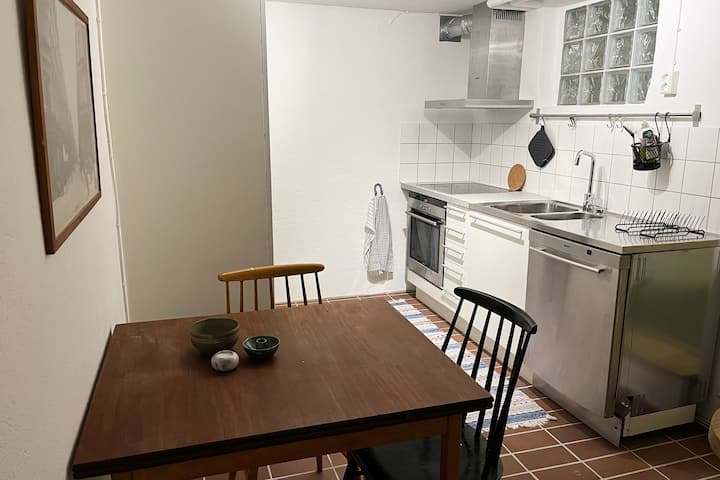 Rymlig, Nyrenoverad Källarlägenhet Med Härlig Tomt - Gothenburg