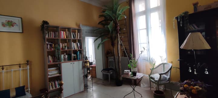 Superbe Appartement Spacieux - Centre Historique - Montpellier