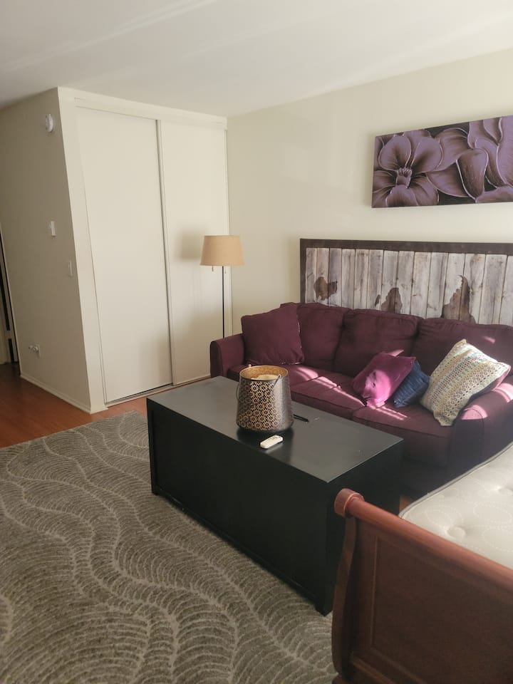 1 Bedroom Studio Apartment With Pool, Bbq Grill - Los Angeles, CA