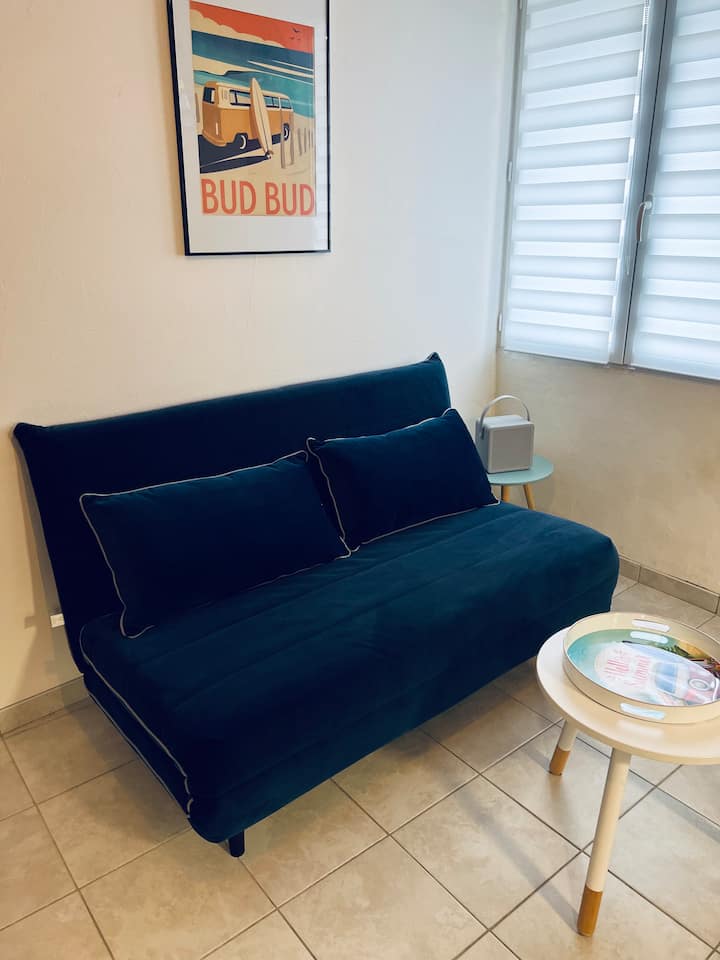 Maison De Vacances En Bord De Mer - Olonne-sur-Mer