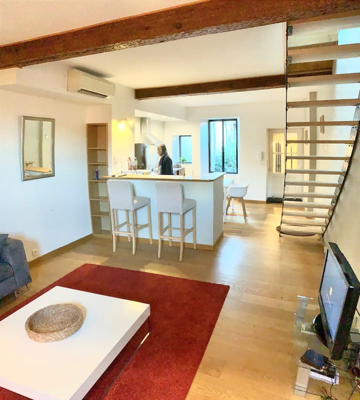 Duplex De Charme
Aux Carmes - Toulouse