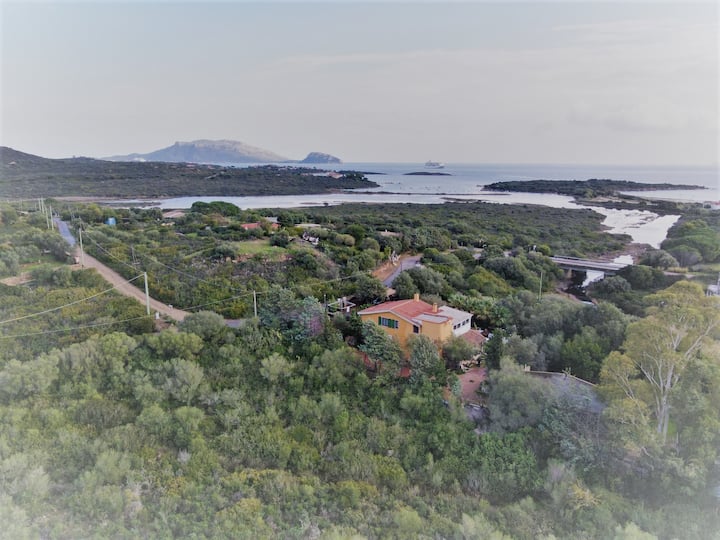 Villa Immersa Nel Verde, A Quattro Passi Dal Mare. - Golfo Aranci