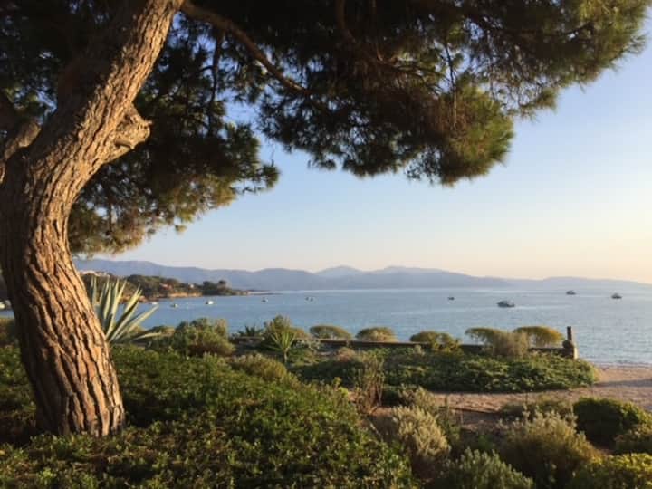 Magnifique Villa Contemporaine Pieds Dans L'eau - Cargèse