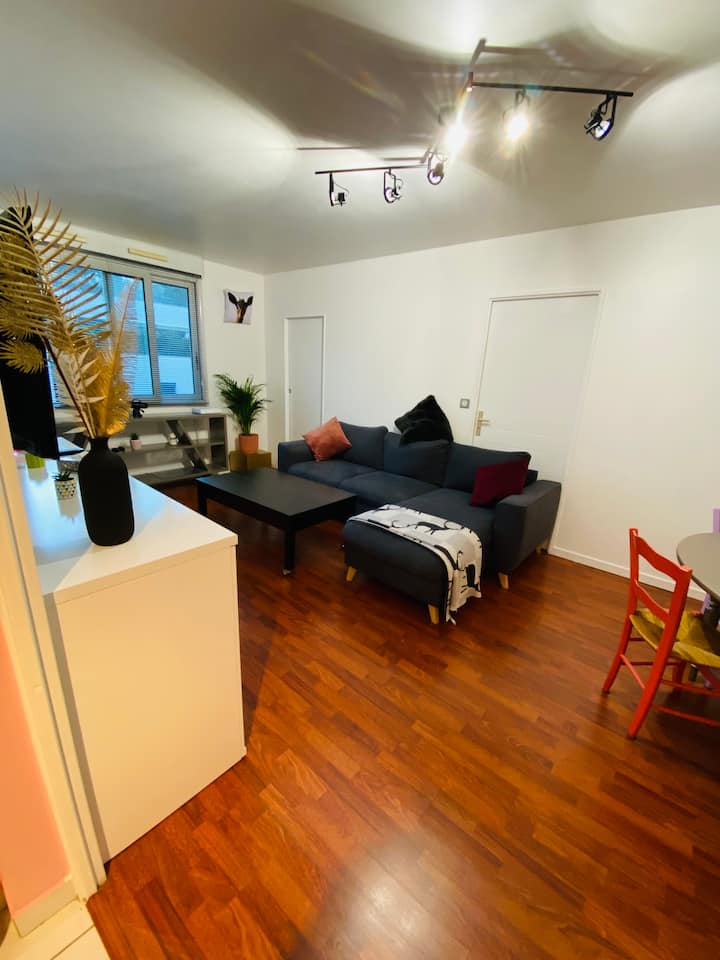 Très Bel Appartement En Centre Ville - Annecy