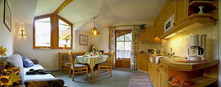 Schöne Wohnung Mit Balkon, 65m², 2 Bäder, 2 Zimmer - Dorfgastein