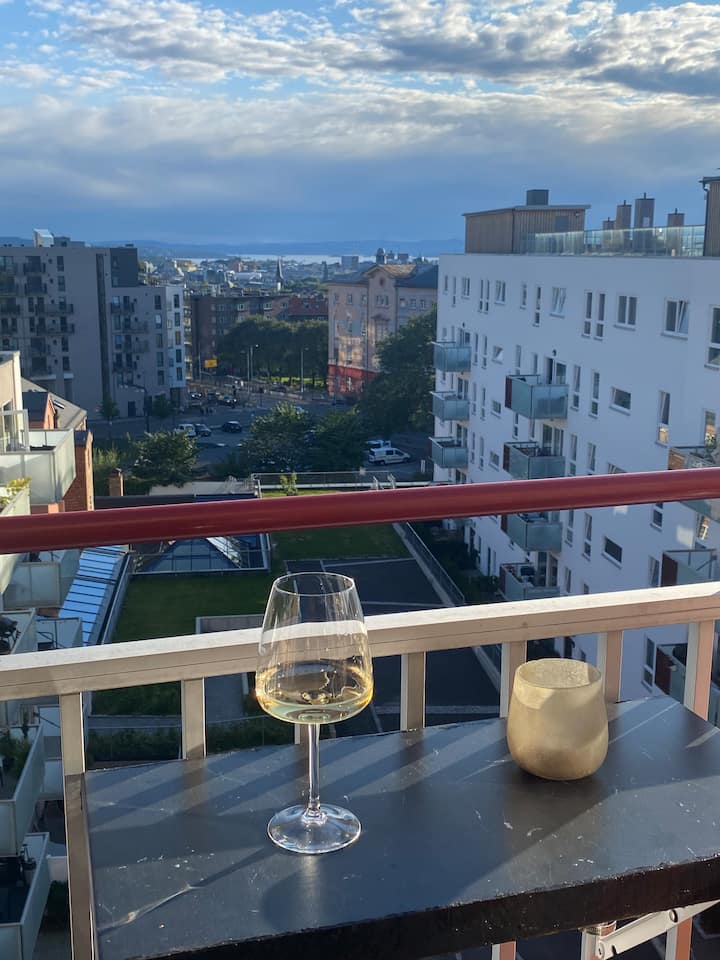 Lovely Studioapartment With Balcony And View - Oslo
