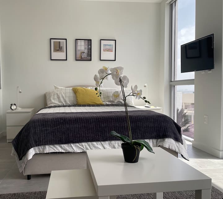 Free Parking*no Fees*sparkling Clean*walk To Arena - Miami, FL