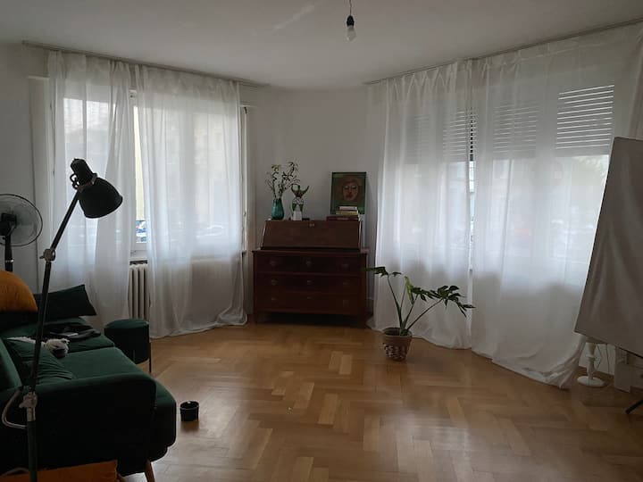 Fribourg: Chambre Dans Un Superbe Appart Au Centre - Fribourg