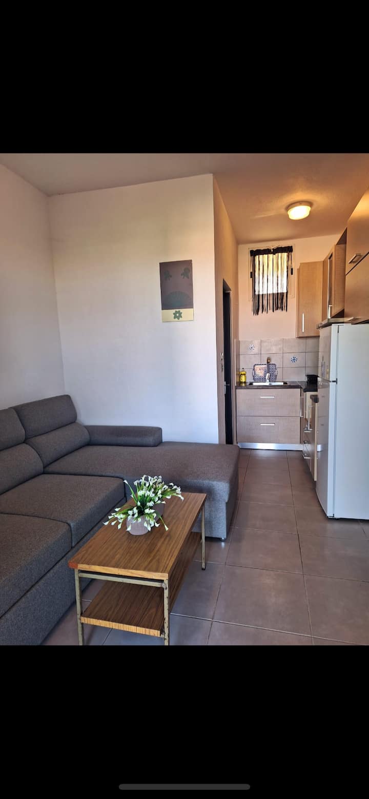 2 Bedroom 2 Bathroom Apartment - Sarti, Greece