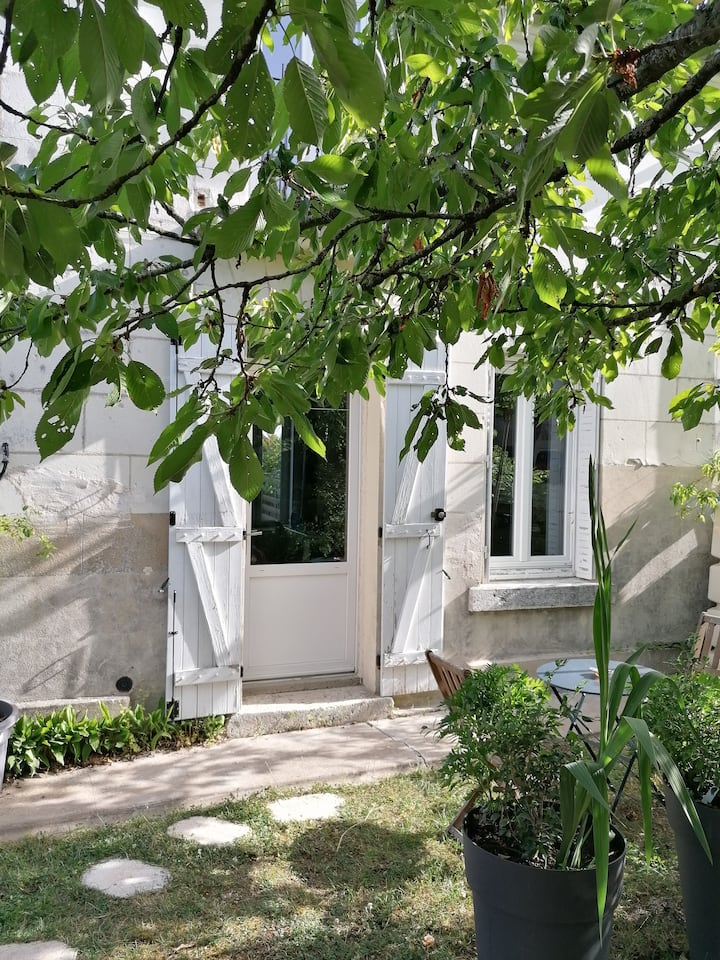 Maison Typique De Vigneron - Montrichard