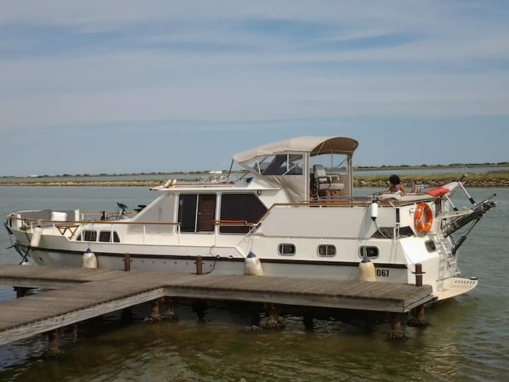 Le Bateau Titian Rose - Toulouse
