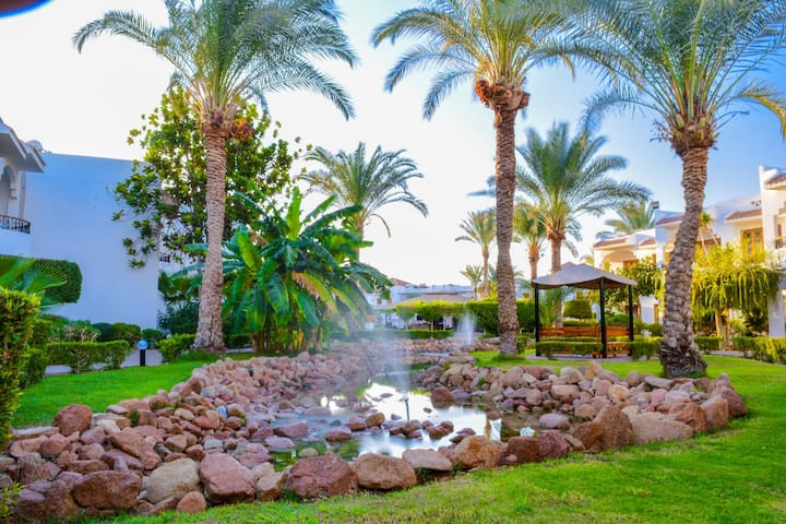 Dive Inn Resort Sharm El Sheikh - Sharm El-Sheikh