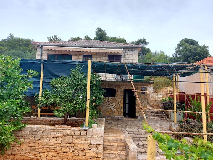 Obiteljska Kuća Za Odmor Perla - Maslinica