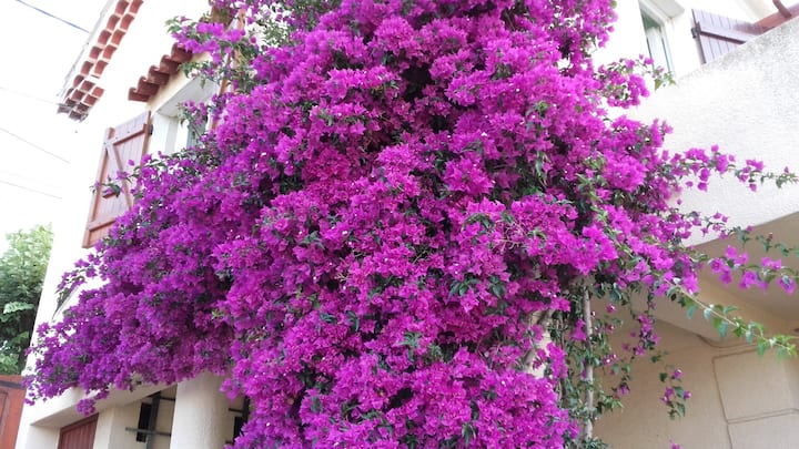La Maison De Manou Proche Des Calanques - La Ciotat