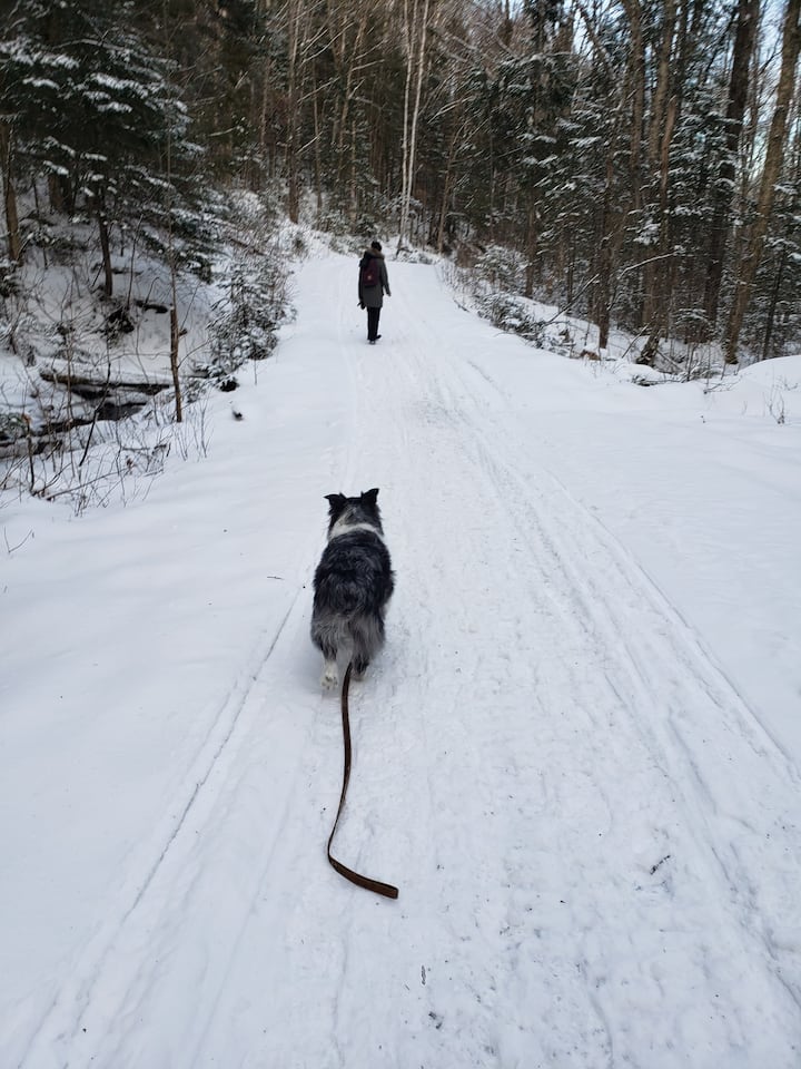 Chalet A-frame Lac Hamel | Pause Nature & Détente - Quebec