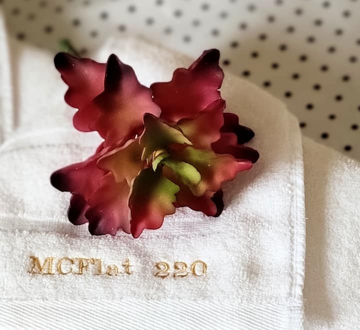 Flat Com Piscina E  Localização Privilegiada - Natal