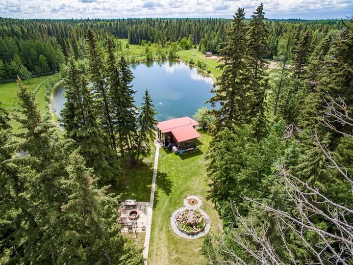 Birchcliff Vacation Rentals & Homes - Alberta, Canada | Airbnb