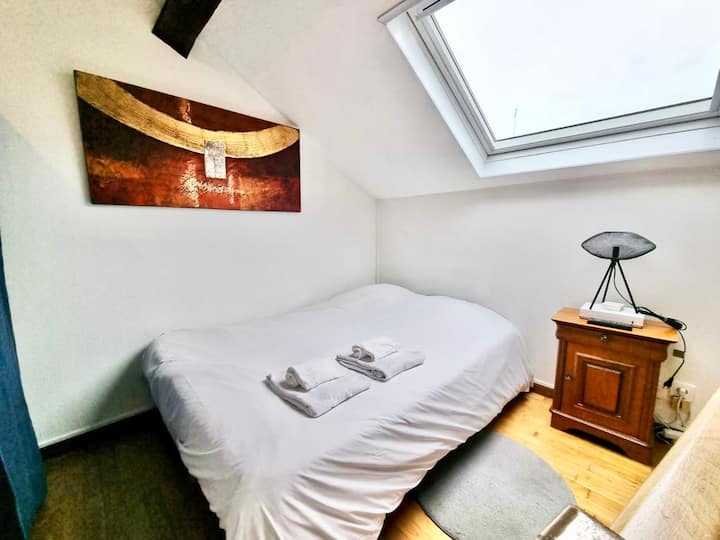 Lesage⚜️petit Duplex⚜️proche Centre Ville❤️et Arena - Reims
