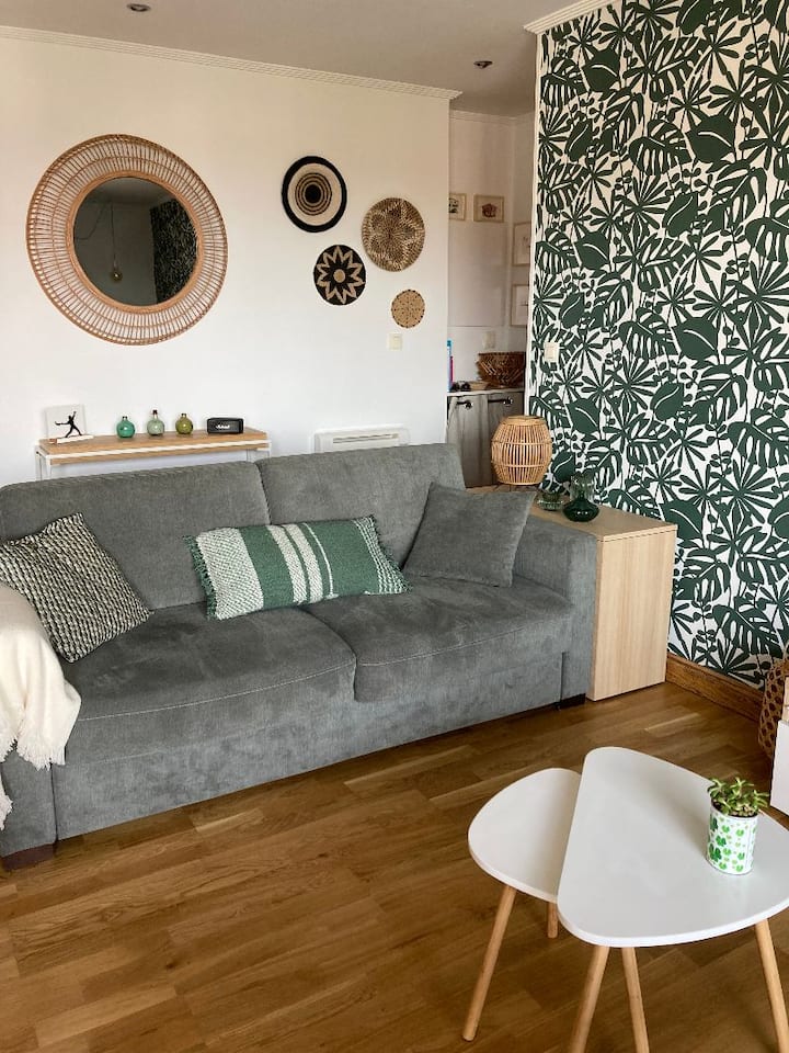 Bel Appartement Au Pays Basque - Hendaye