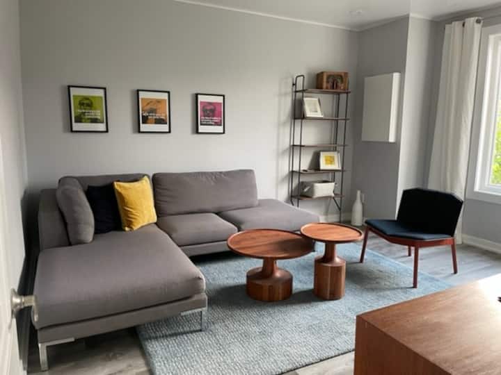 Executive 1 Bedroom Apartment W/ Office & Parking. - Ottawa