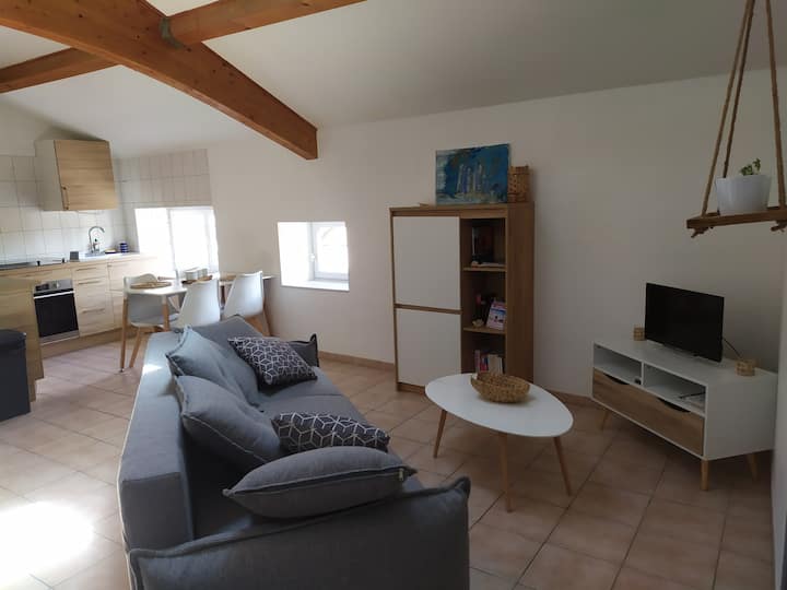 Appartement De Charme - Cœur De Ville Historique - Die