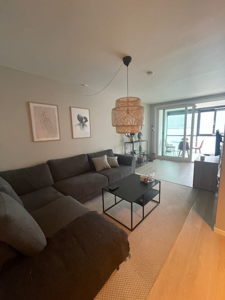 Fin Selveier Leilighet Med Utsikt Til Leie. - Alesund