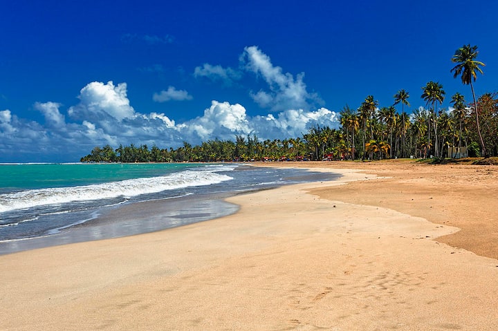 The Sandy Pearl Apartment - Luquillo